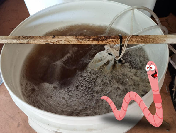 Aerated Worm Tea (made to order, pick up only) – Wurtulla Worms
